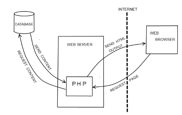 Php Vs Python Talent500 Blog 7378