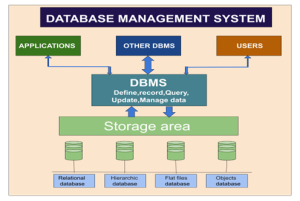 SQL vs DBMS: Understanding Structured Query Language & Difference